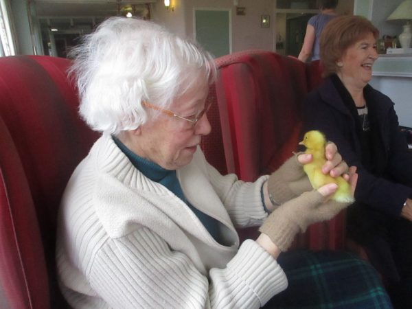 Risby Hall Nursing Home – The Partnership in Care