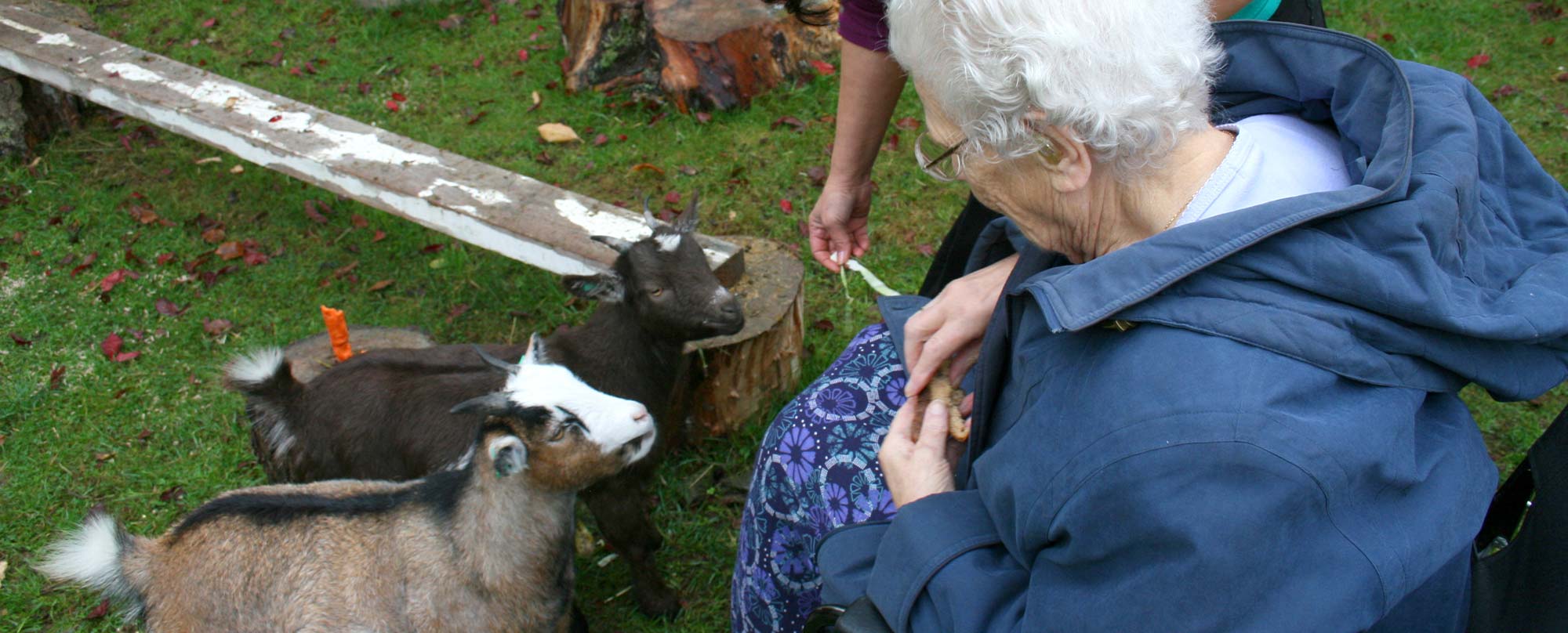 Risby Hall Nursing Home – The Partnership in Care