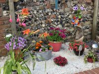 Risby Hall Nursing Home – The Partnership in Care